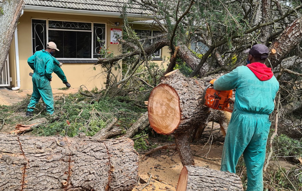 Boland Trees Professional Tree Services